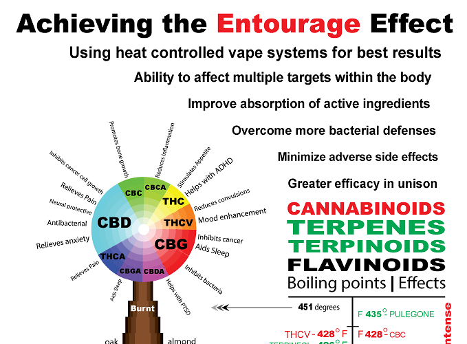 Terpene Sheet Xl - Terps - Future4200