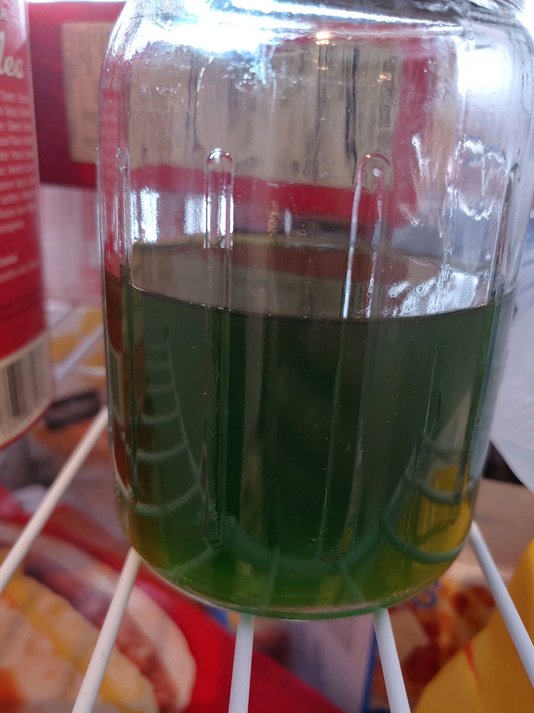 UV Bleaching chlorophyll - Extraction - Future4200