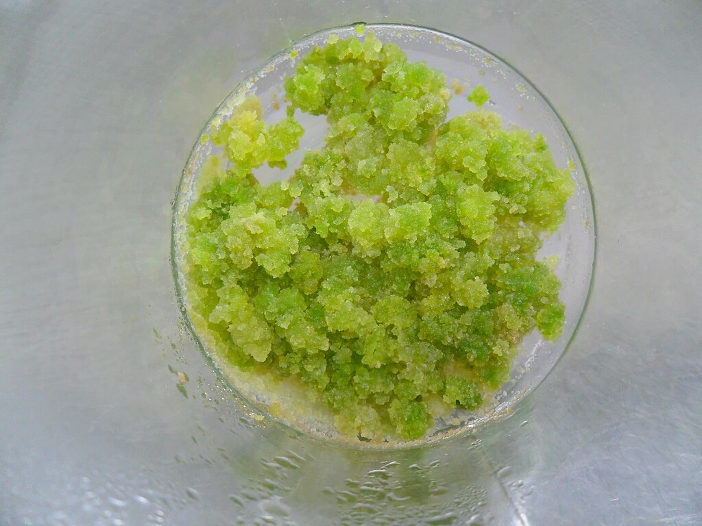 Callus formation in clones - Botany and Cultivation - Future4200