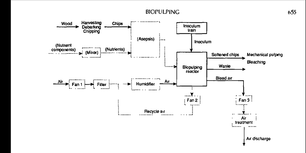 BioPulping - Ground Up - Future4200