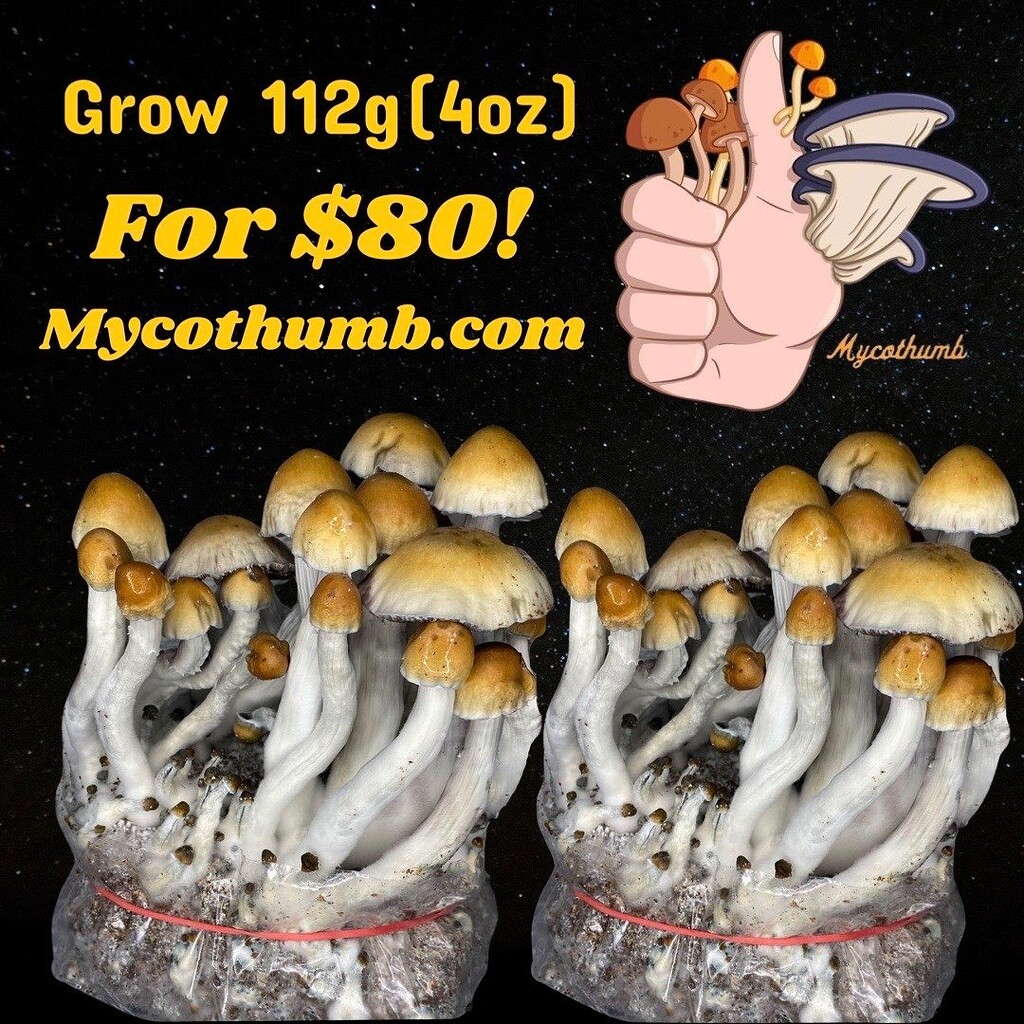 Fool Proof Fungi Grow Kits (of the magic variety - Fungi - Future4200