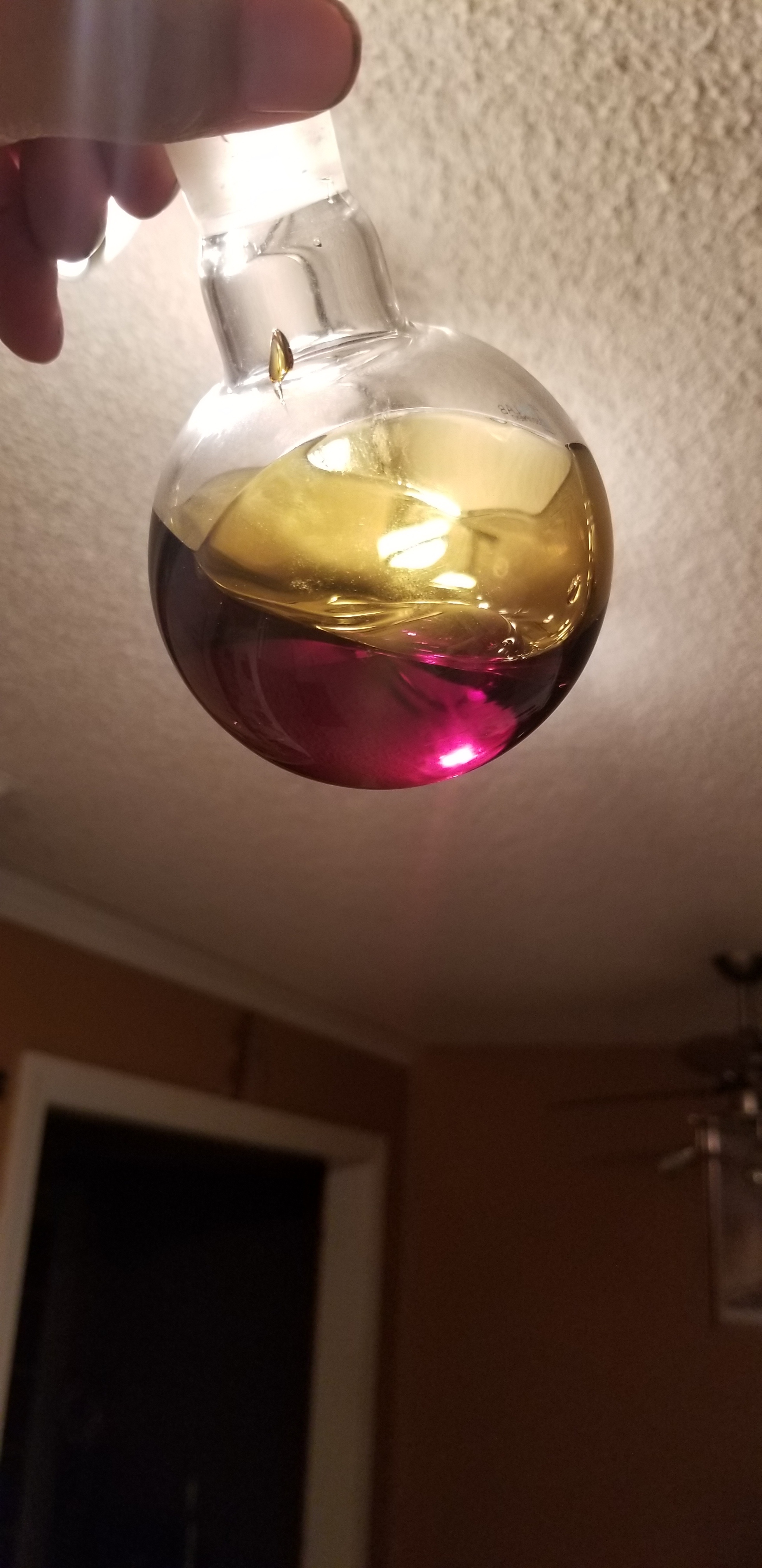 Amber distillate turns red. Oxidation? - Distillation - Future4200